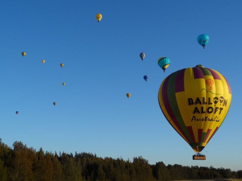 Hunter Valley: Sunrise Balloon Ride with Bubbly Breakfast - Who Will Love This Tour?