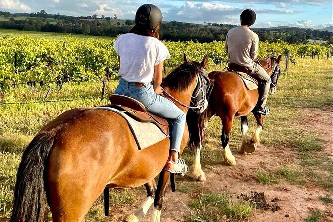 Hunter Valley Sunset Horse Ride - 90 Minutes - An Introduction to the Experience