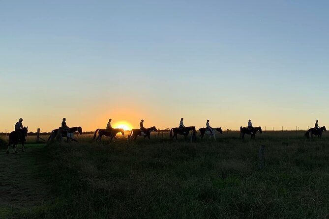 Hunter Valley Sunset Horse Ride - 90 Minutes - FAQ