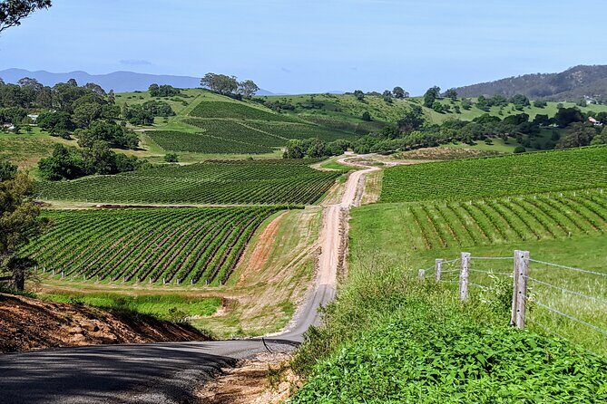 Hunter Valley wine and cheese starting from the Hunter region - Introducing the Hunter Valley Wine and Cheese Tour: A Genuine Sydney Adventure