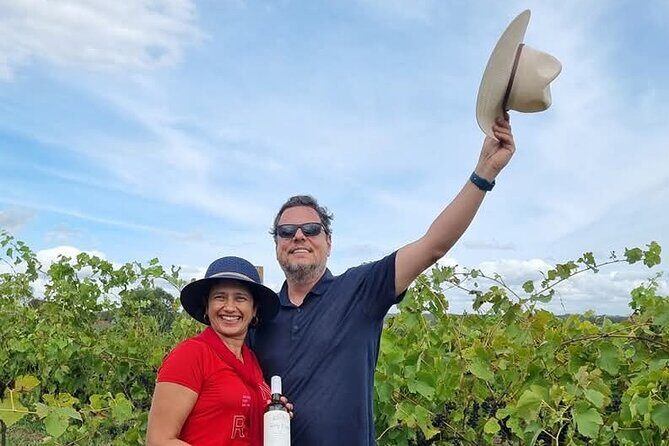 Hunter Valley Wine and Cheese Tasting Day Tour from Sydney - A Practical and Enjoyable Day Trip