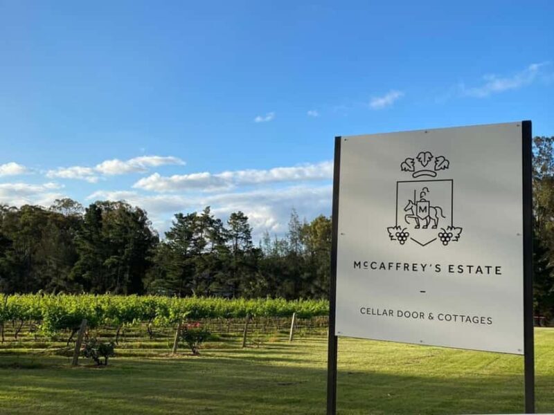 Hunter Valley: Wine and Cheese Tasting Experience - An In-Depth Look at the Hunter Valley Wine and Cheese Experience