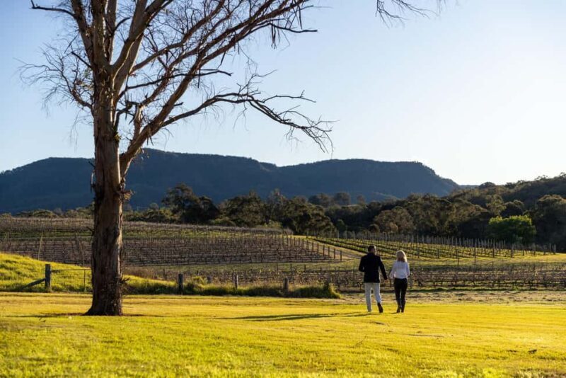 Hunter Valley: Wine and Cheese Tasting - The Sum Up