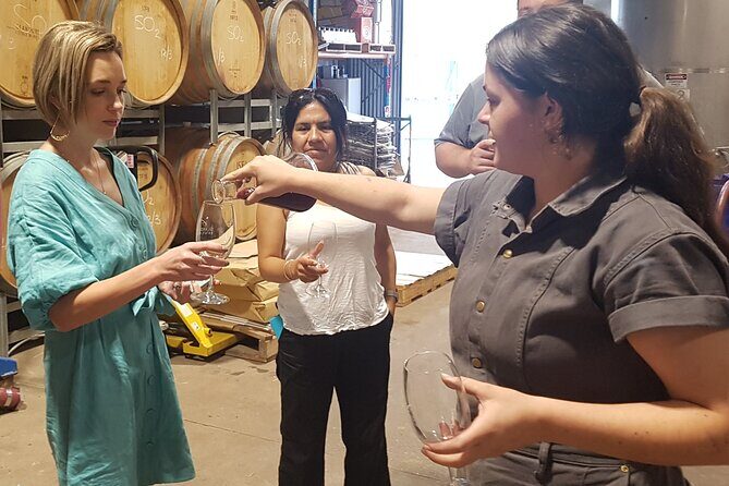 Hunter Valley Wine Tour + Lunch, Gin, Cheese, Choc from Newcastle - Conclusions