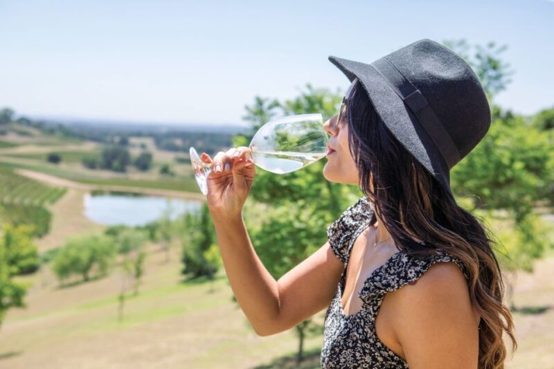 Hunter Valley: Wine Tour with 3 Tastings and Garden Lunch - The Drive: A Long but Lovely Road Trip