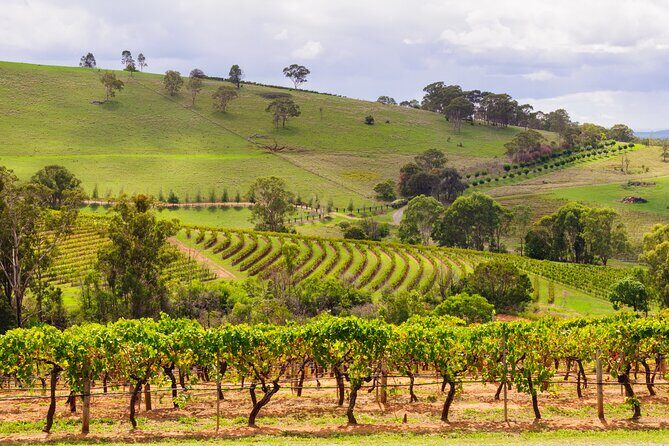Hunter Valley Winery - Premium Tasting for Private Group Tours - Final Thoughts