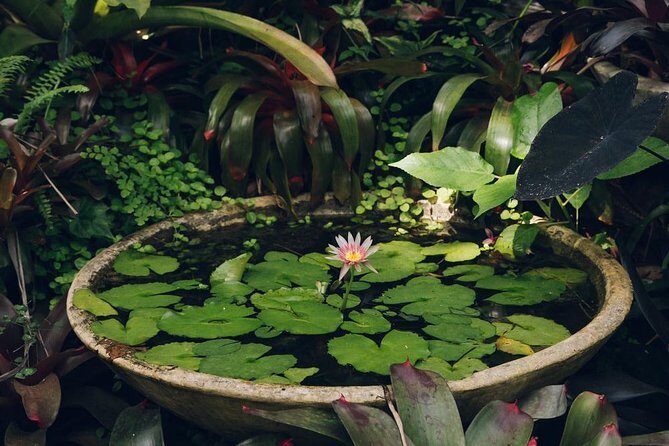 Hunte's Gardens - Who Will Love This Experience?