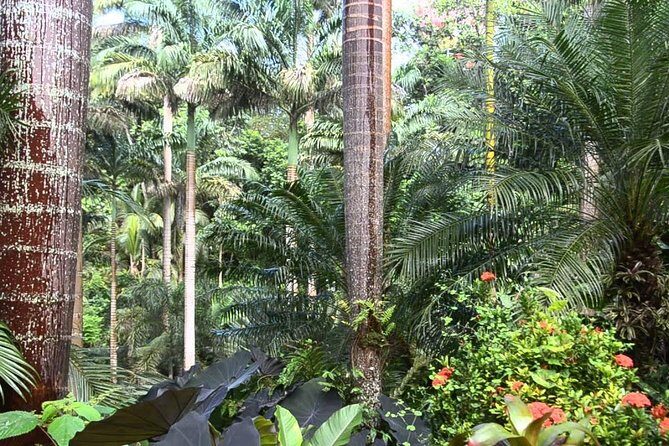 Hunte's Gardens - FAQ