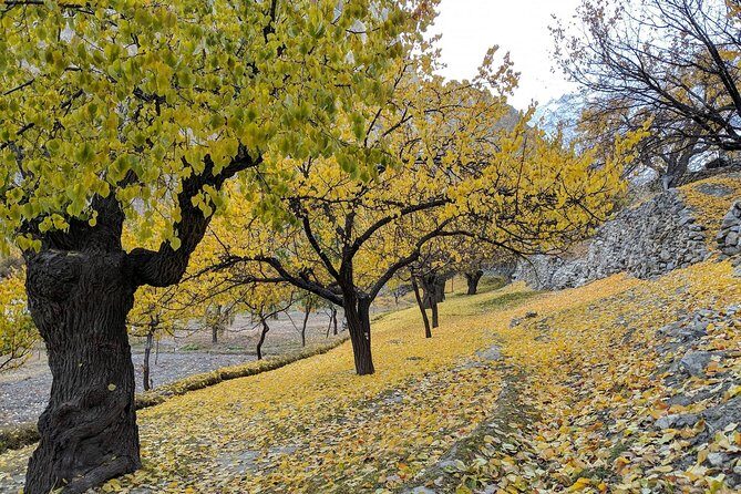 Hunza Autumn Tour - Key Points