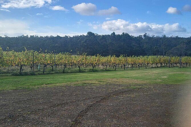 Huon Valley Wine and Cider Tour - Hobart and SE Tasmania - An In-Depth Look at the Huon Valley Wine and Cider Tour