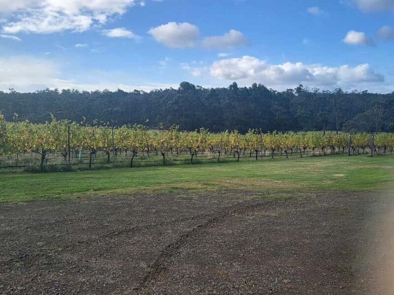 Huon Valley Wine & Cider Tour - Hobart & SE Tasmania - Key Points