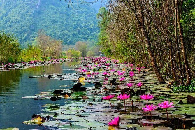 Huong Pagoda 1 Day Daily Tour - A Detailed Look at the Tour Experience