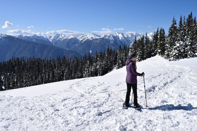 Hurricane Ridge Guided Snowshoe Tour in Olympic National Park - The Shuttle and Arrival at Hurricane Ridge