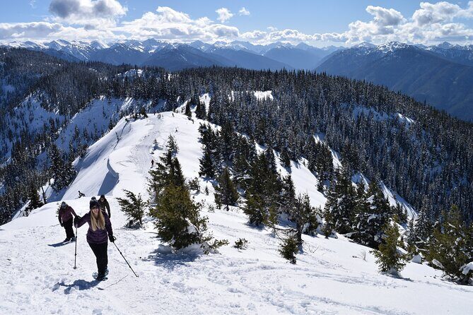 Hurricane Ridge Guided Snowshoe Tour in Olympic National Park - Equipment and Park Fees