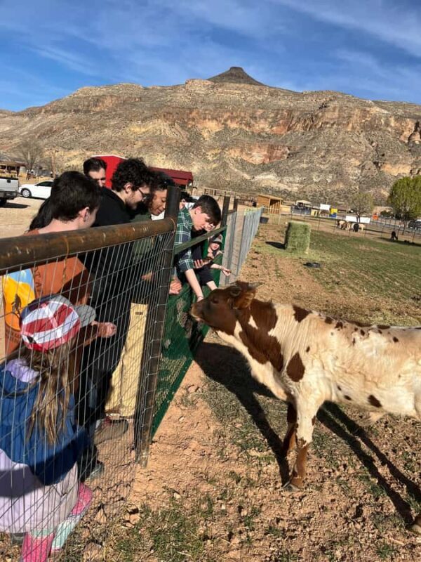 Hurricane, Utah: Guided Farm Tour with Animal Feeding - Who Will Love This Tour?