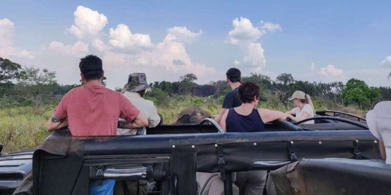 Hurulu Eco Park: 3-Hour Morning or Evening Safari - Practical Tips for Your Safari