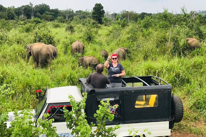Hurulu Eco Park Half Day Safari - Why This Tour Offers Great Value