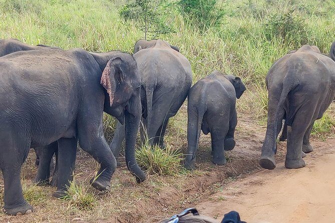 Hurulu Eco Park Private Safari - Frequently Asked Questions