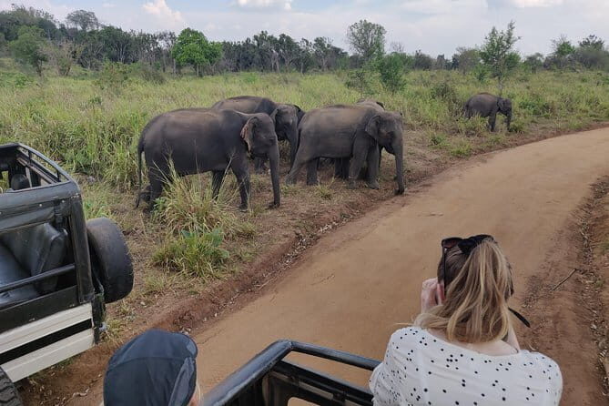 Hurulu Eco Park Safari - Key Points