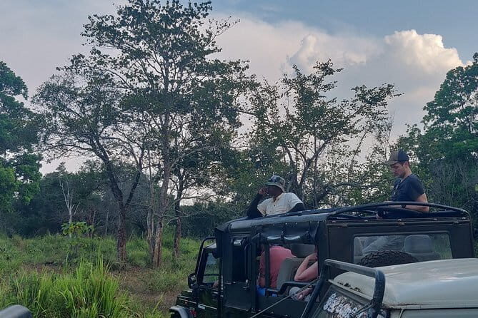 Hurulu Eco Park Safari - What Makes the Hurulu Eco Park Safari Stand Out?