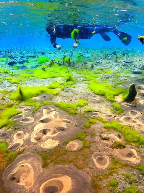 Húsavík: Bubbling Sands Snorkeling Tour - Key Points