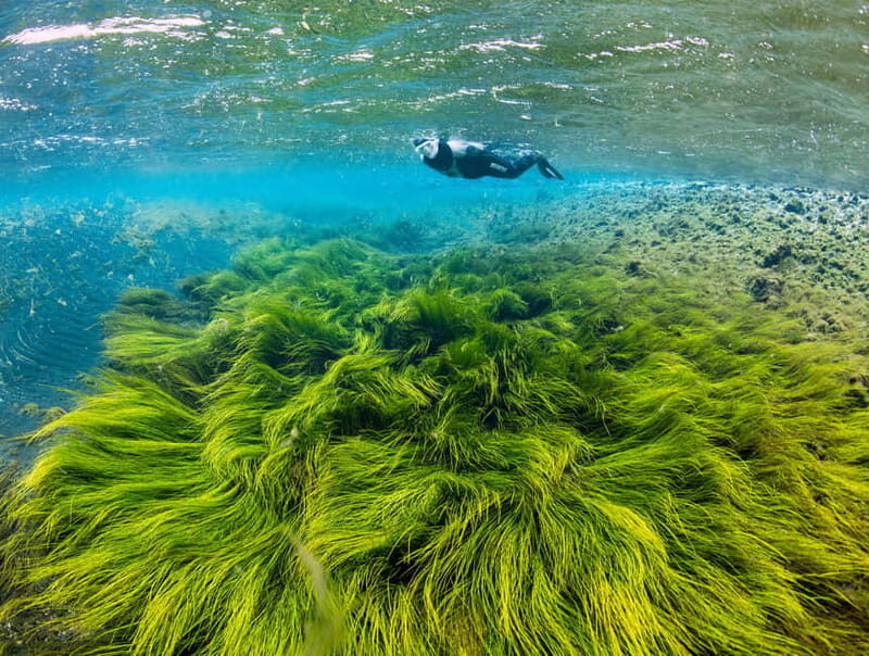 Húsavík: Bubbling Sands Snorkeling Tour - What to Expect and Why It Matters