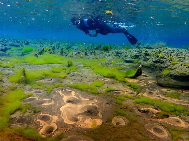 Húsavík: Bubbling Sands Snorkeling Tour - The Final Word: Who Will Love This?