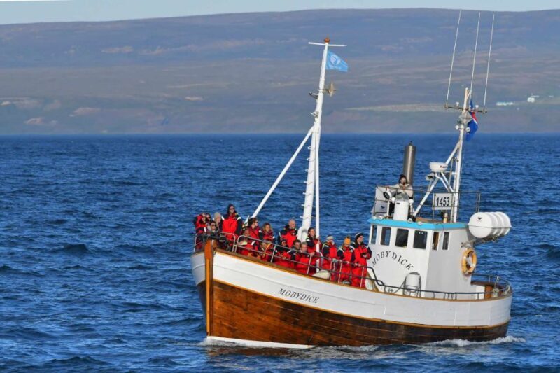 Húsavík: Family-Run and Guided Whale Watching Tour - Key Points