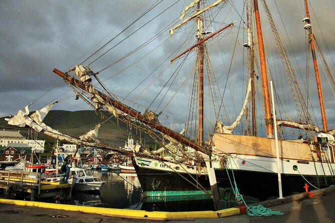 Húsavík walking tour - The Experience of a Guided Walk