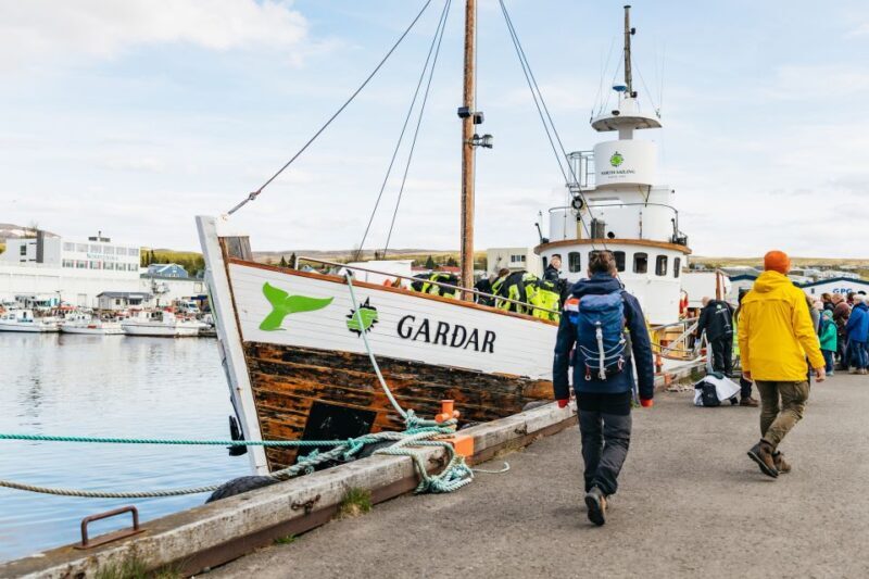 Húsavík: Whale Watching Tour with Guide - Who Will Love This Tour?