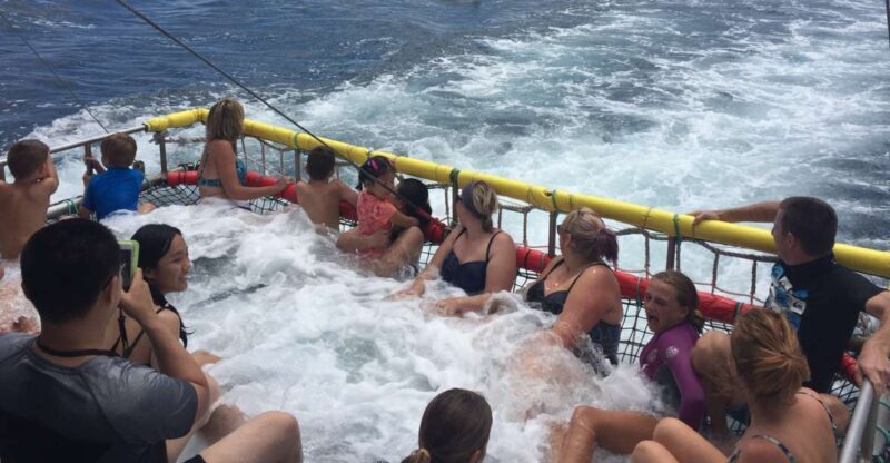 Huskisson: Dolphin Cruise & Boom Netting Experience - What makes this tour special?