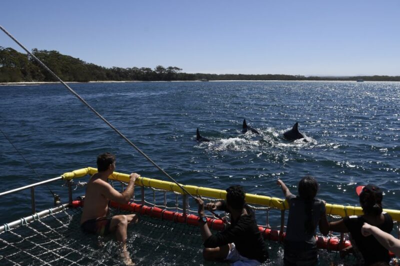 Huskisson: Dolphin Cruise & Boom Netting Experience - Authentic reviews and insights