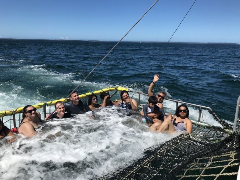 Huskisson: Dolphin Cruise & Boom Netting Experience - FAQ