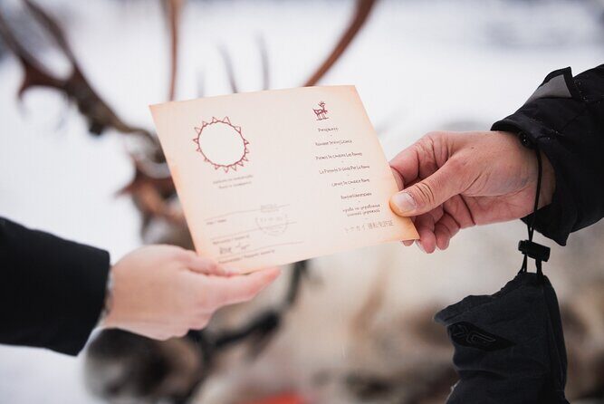 Husky and Reindeer Experience - Authenticity and Experience Quality