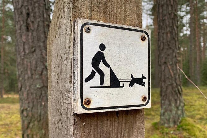Husky dog sled/bike kart ride in Latvia ~ 3h group tour from Riga - Who Would Love This Tour?