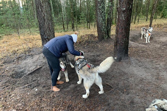 Husky dog sled/bike kart ride in Latvia ~ 3h group tour from Riga - Final Thoughts