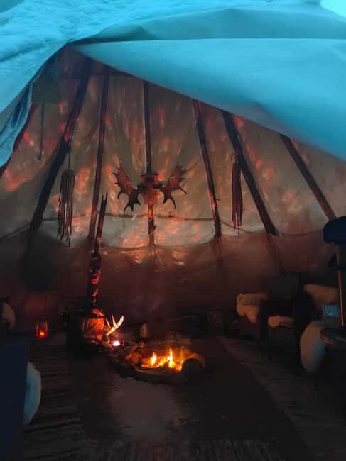 Husky Farm Visit with HuskySled Ride and Campfire - A Deeper Look at the Experience