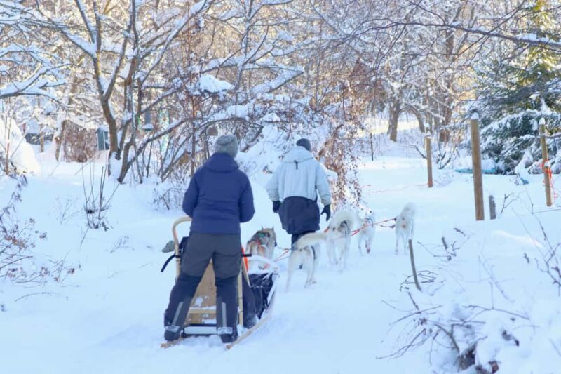 Husky Farm Visit with HuskySled Ride and Campfire - FAQ