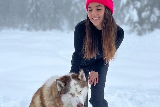 Husky Hikes Private Mountain Tours - Pricing and Value