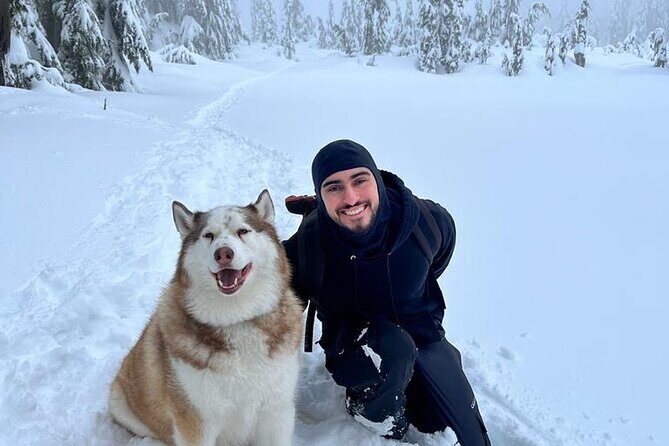 Husky Hikes Private Mountain Tours - FAQs