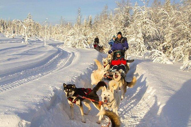 Husky Ride Private Tour from Krakow - Who Will Love This Tour?
