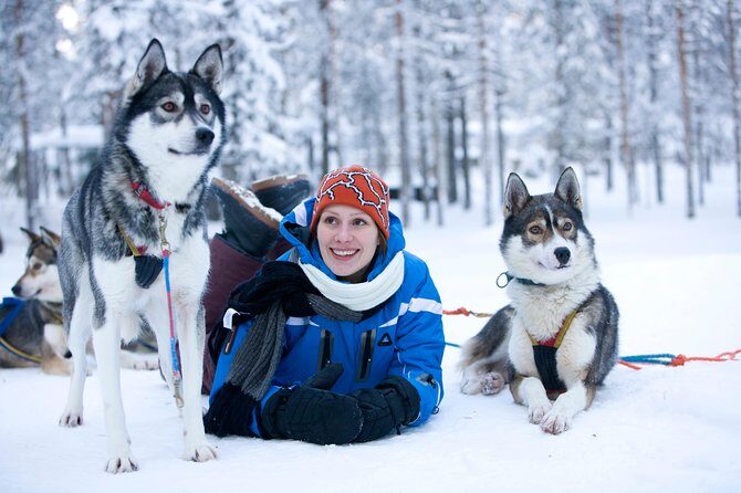 Husky Safari from Rovaniemi Including a Husky Sled Ride - Key Points