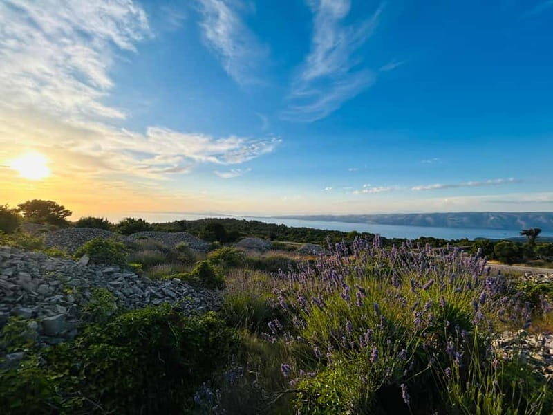 Hvar: Hidden Gems Tour - Discovering Hvar’s Secret Corners — A Closer Look