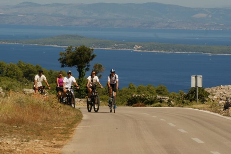 Hvar Island E-Bike Tour with Wine Tasting and Starters - Who Will Love This Experience?