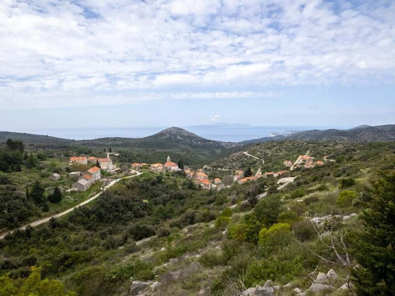 Hvar: Lavender Fields, Honey, and Local Product Tasting - The Experience in Detail
