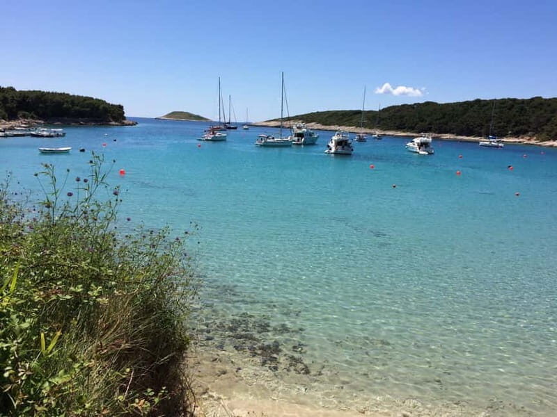 Hvar: Private Pakleni Islands Speedboat Cruising - Who Should Consider This Tour?