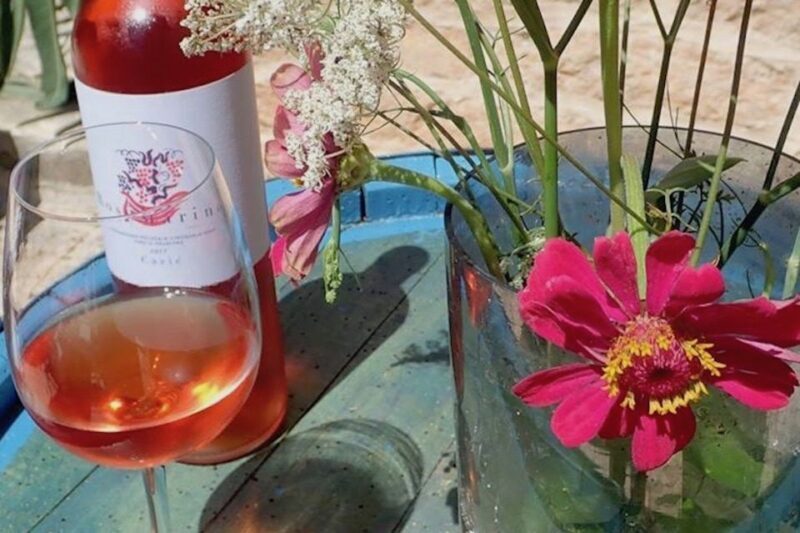 Hvar: Wine Lovers Tour to 3 Wineries with Local Tastings - In The Sum Up: Why You Should Consider This Tour