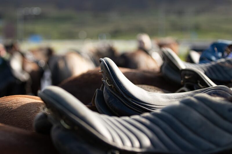 Hveragerdi: Countryside Charm Horse Riding Tour - Key Points