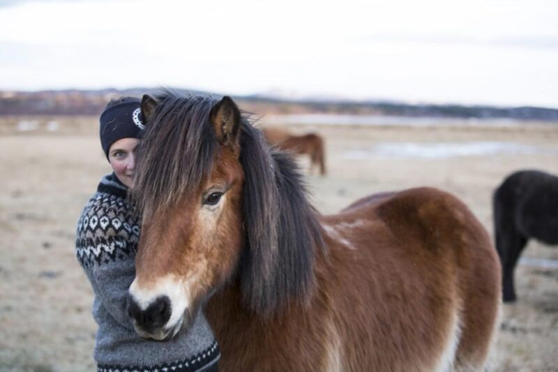 Hveragerdi: Countryside Charm Horse Riding Tour - Who Should Consider This Tour?