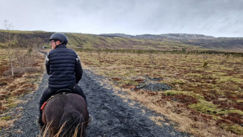 Hveragerði: Horseback Riding Tour for Beginners and - What to Expect from the Horseback Riding Tour